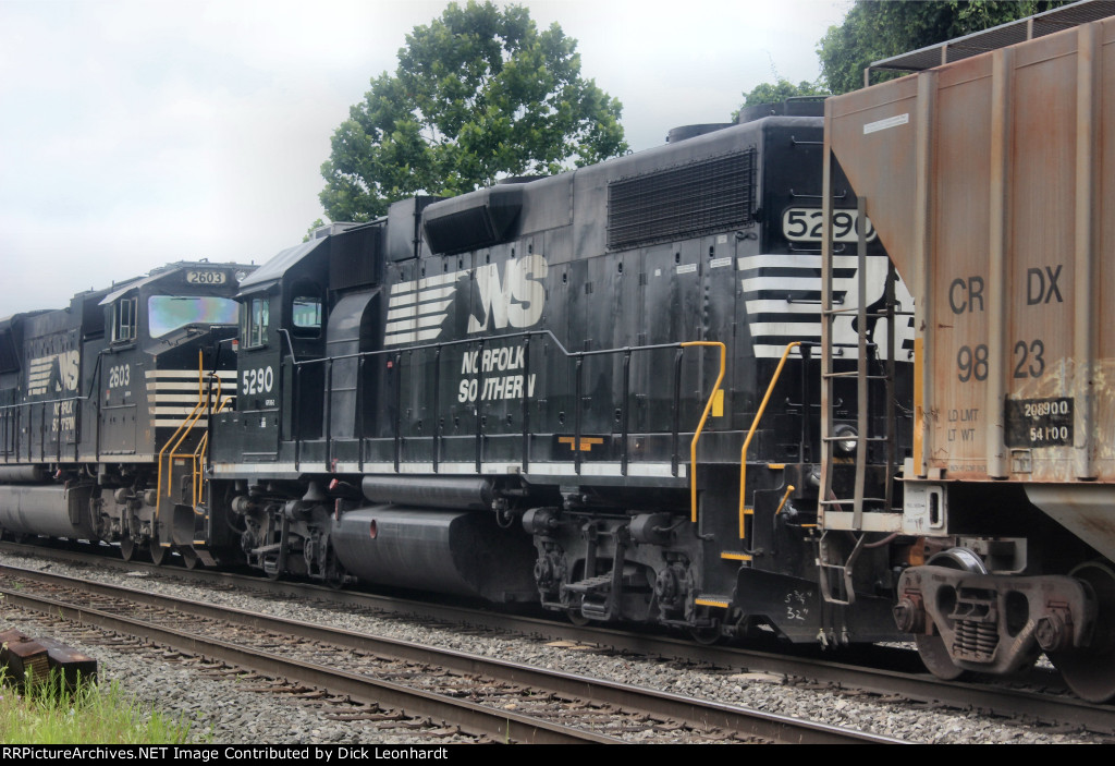NS 5290